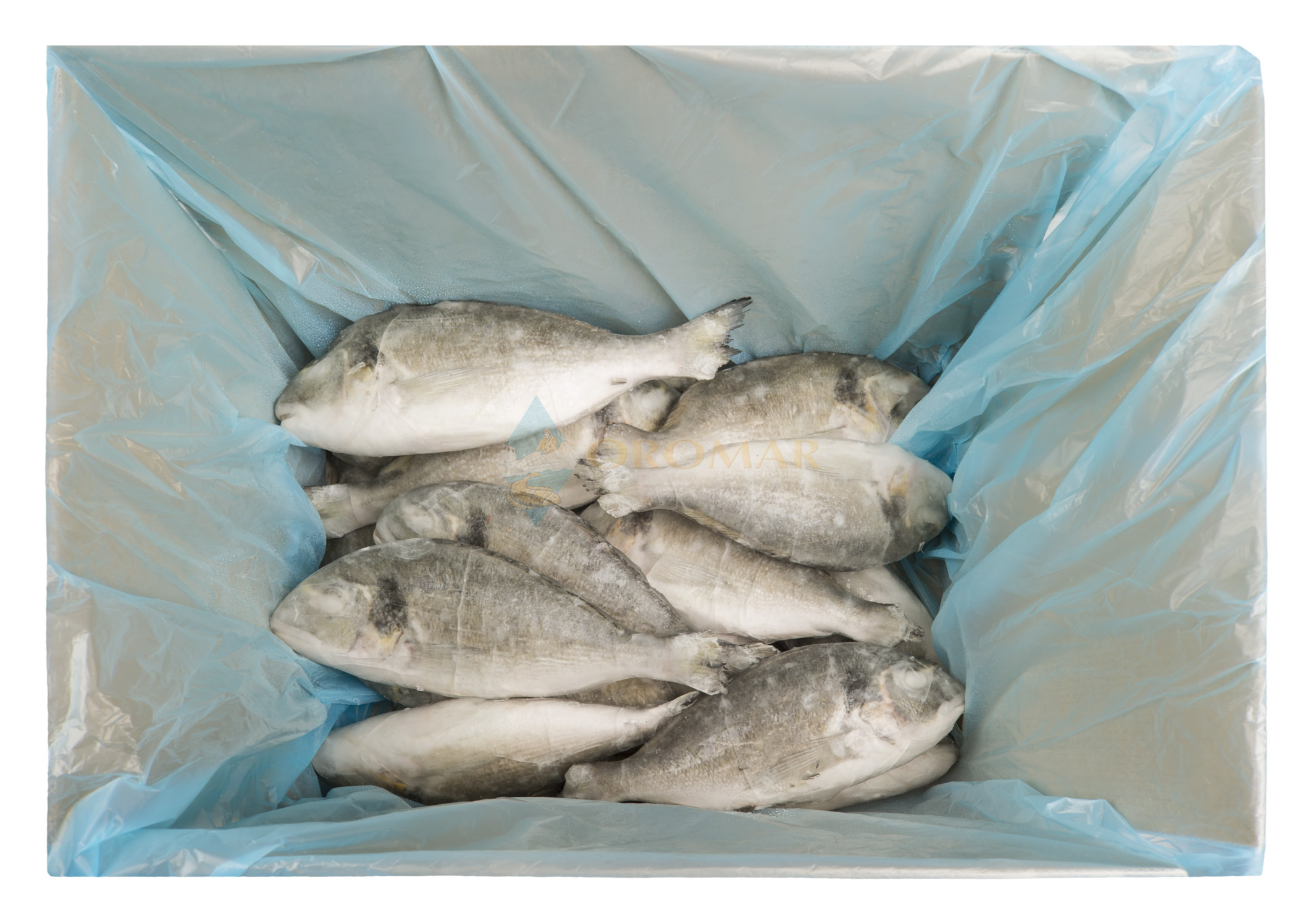 Poisson Dorade Dorade Poisson Fond Blanc Royalty Free Images, Stock